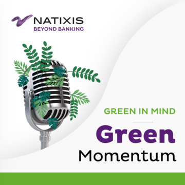 Green Momentum: the question of sustainable digital technology